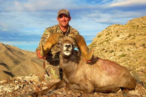 Board of Directors - Utah Wild Sheep Foundation