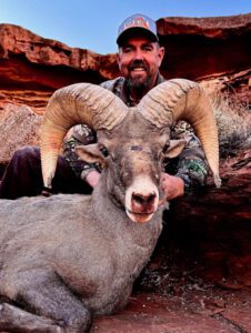 Where Are There Bighorn Sheep In Utah? | Wild Sheep Foundation